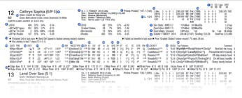 How to read a Brisnet horse racing program | TwinSpires
