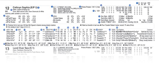 How to read a Brisnet horse racing program | TwinSpires