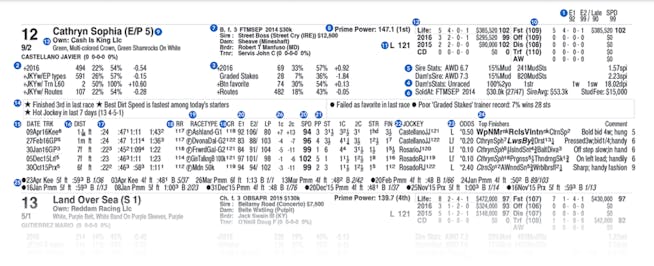 How to read a Brisnet horse racing program | TwinSpires
