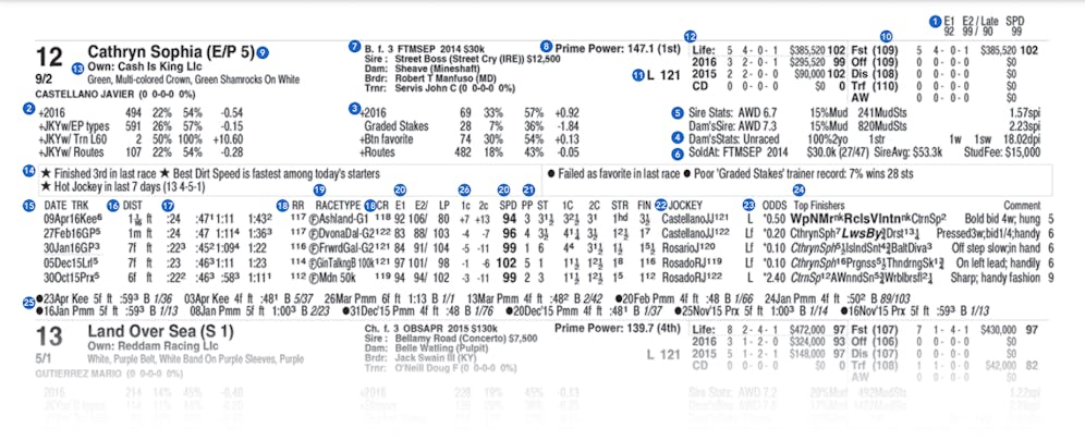 How to read a Brisnet horse racing program | TwinSpires