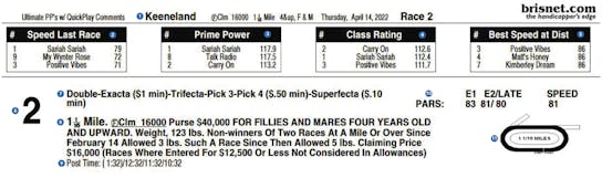 How to read a Brisnet horse racing program | TwinSpires