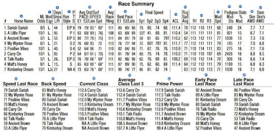 How to read a Brisnet horse racing program | TwinSpires