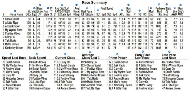 How to read a Brisnet horse racing program | TwinSpires