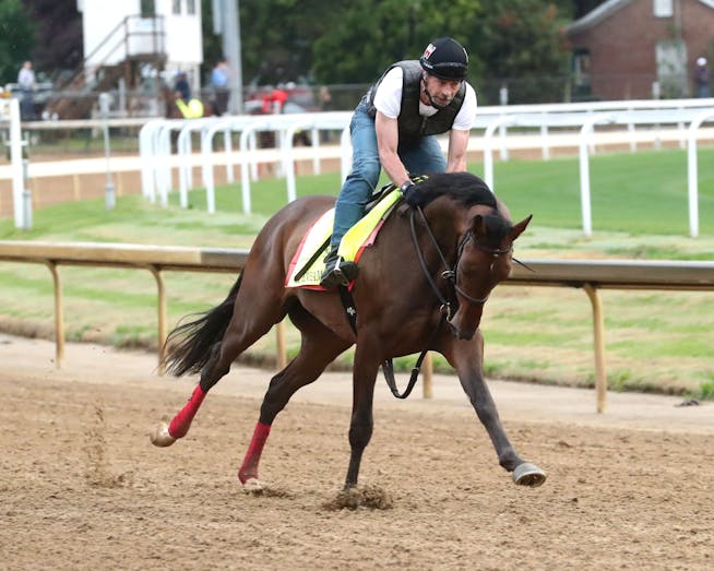 Dosage Index, birthdates for 2025 Kentucky Derby contenders | TwinSpires