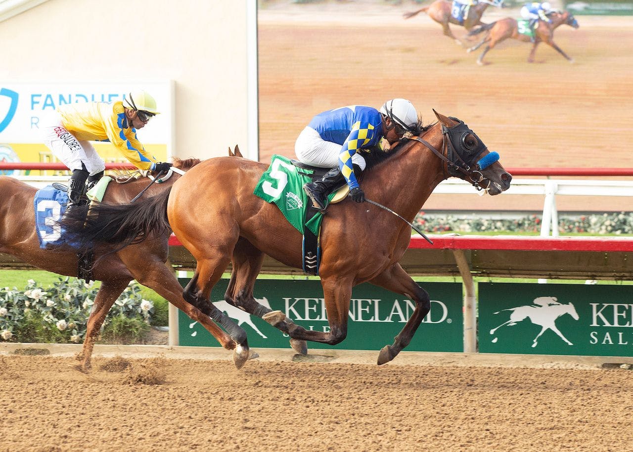 Citizen Bull 29-1 in Kentucky Derby Future Wager Pool 1 | TwinSpires