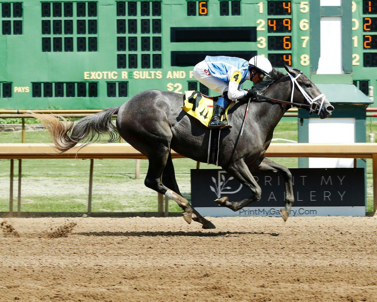 How to bet the Sands Point Stakes | TwinSpires