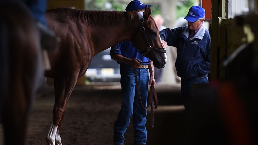 Art Sherman's lifetime horsemanship hit the stratosphere | TwinSpires