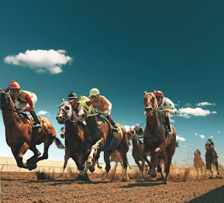The Science of Horse Racing: Track Surfaces | TwinSpires