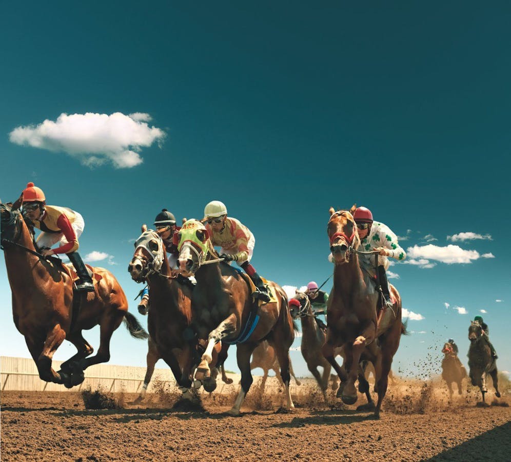 The Science of Horse Racing: Track Surfaces | TwinSpires