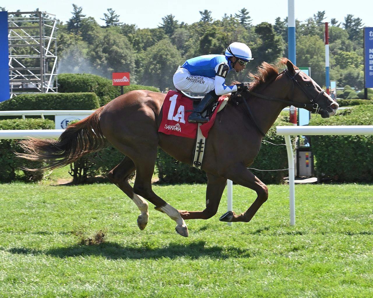 How to bet the Notebook Stakes | TwinSpires