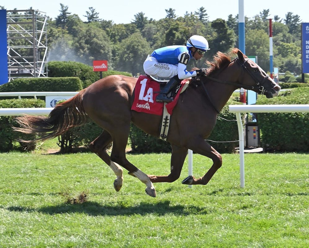 How to bet the Notebook Stakes | TwinSpires