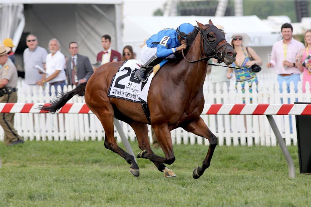 How to bet the 2024 Gulfstream Park Turf Sprint Stakes | TwinSpires