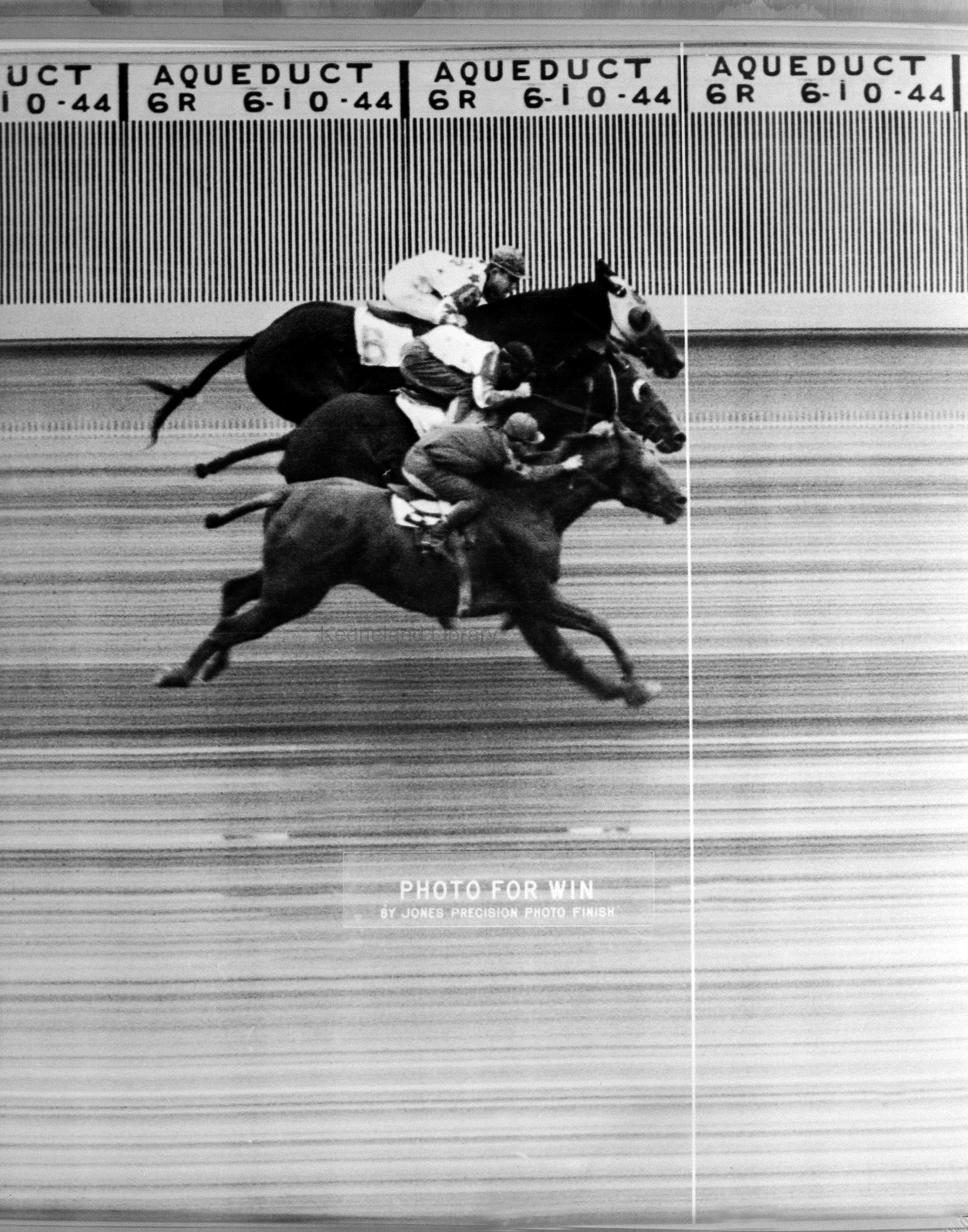 Black And White Horse Racing Photography