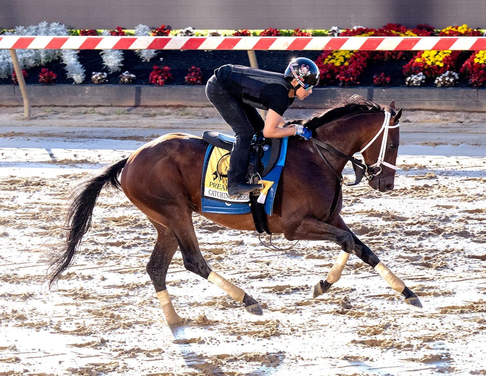 Ohio Derby Exotics Plays | TwinSpires