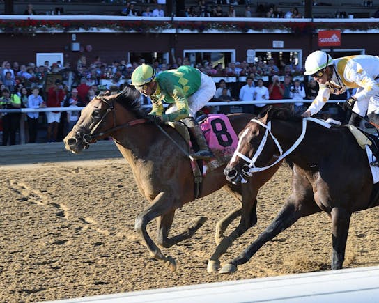 Meet the Contenders: 2024 Champagne Stakes | TwinSpires