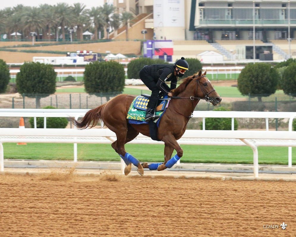 Top picks for the Saudi Cup Day races at Riyadh | TwinSpires