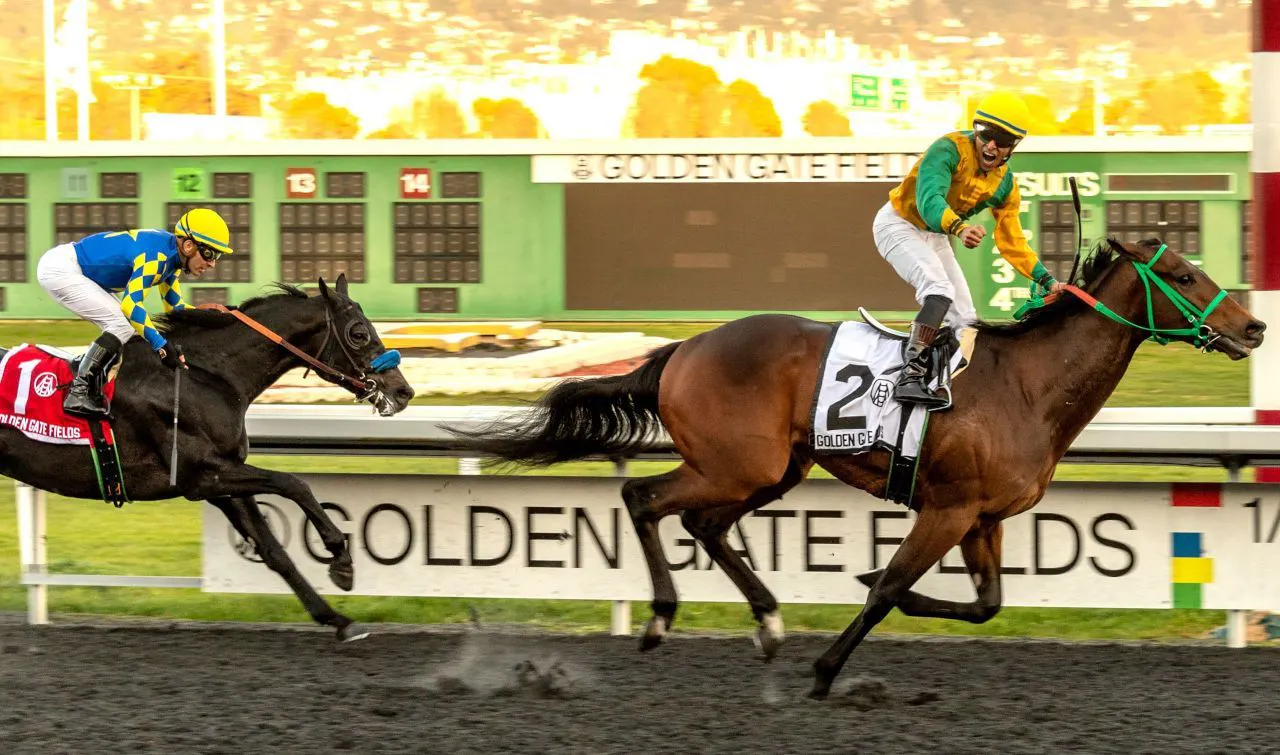 Kentucky Derby pedigree profile: Chase the Chaos | TwinSpires
