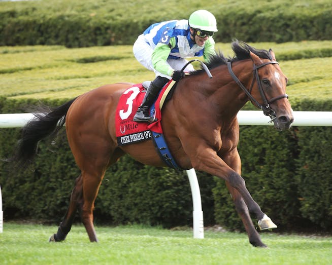 Pedigree notebook: Chez Pierre brings down the house for Meh | TwinSpires