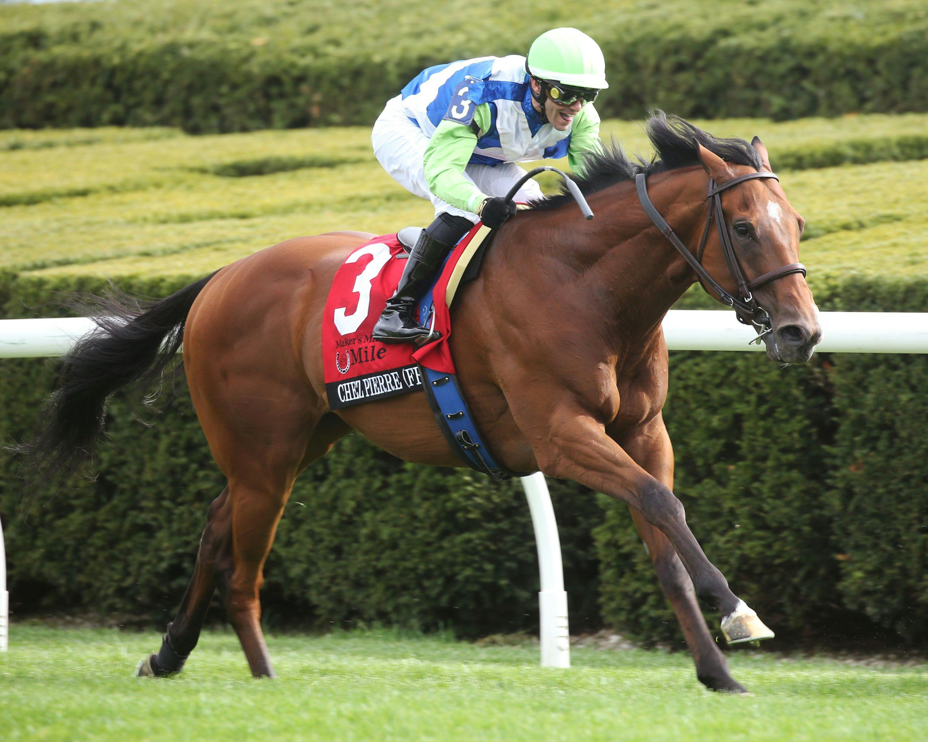 Betting Intelligence: Contenders to watch for June 10 | TwinSpires