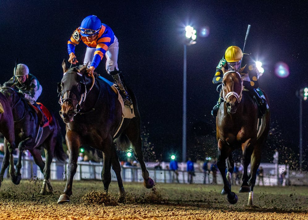 Kentucky Derby Roundup: Chip Honcho, Express Kid emerge | TwinSpires