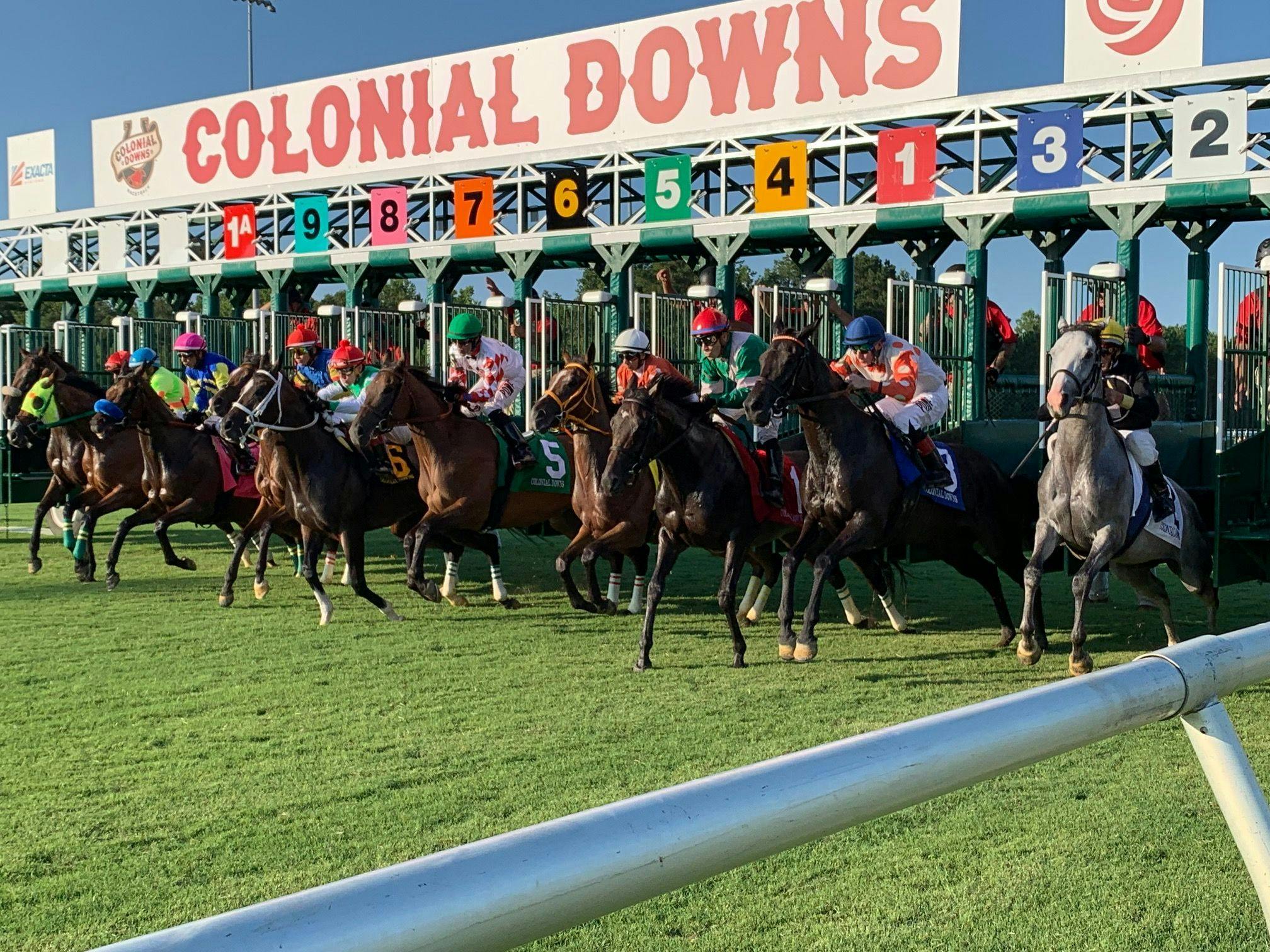 Colonial Downs Racetrack Picks, Entries, Race Schedule, Best Bets ...