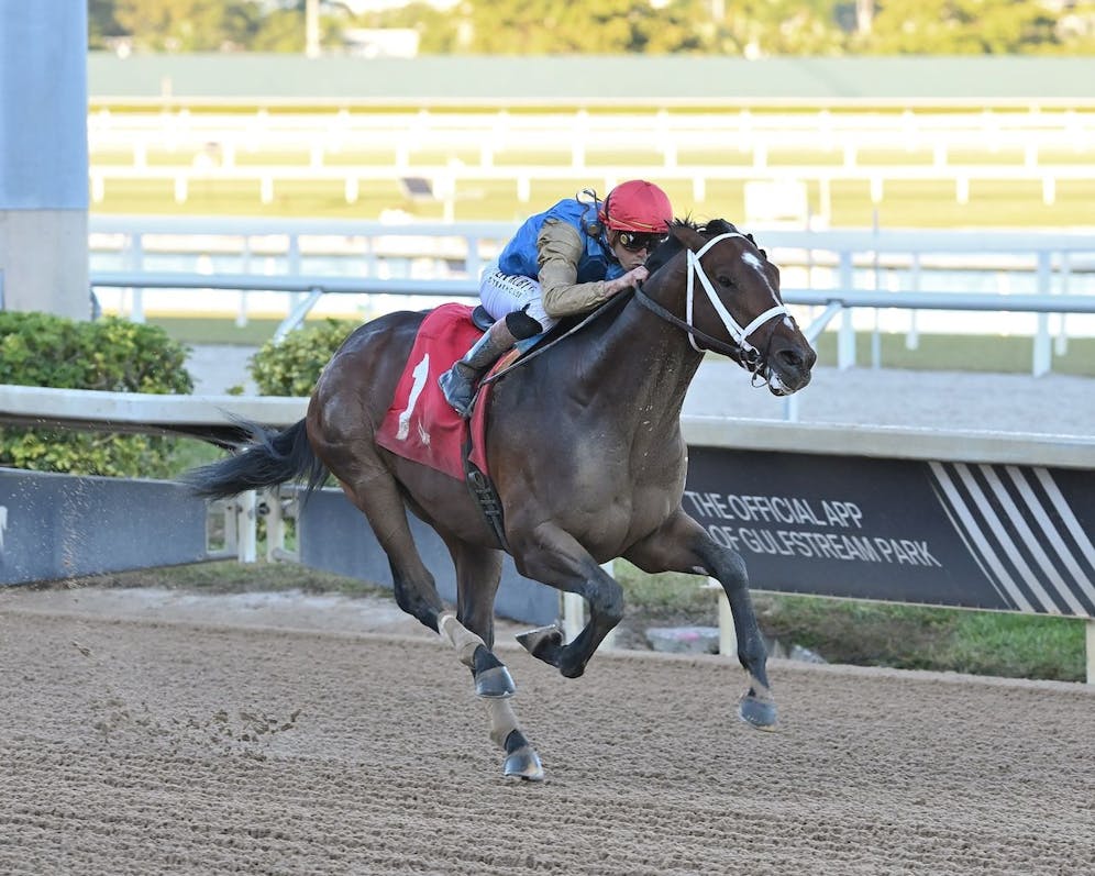 Commandment - Horse Profiles: Pedigree, Stats, Results & Past ...