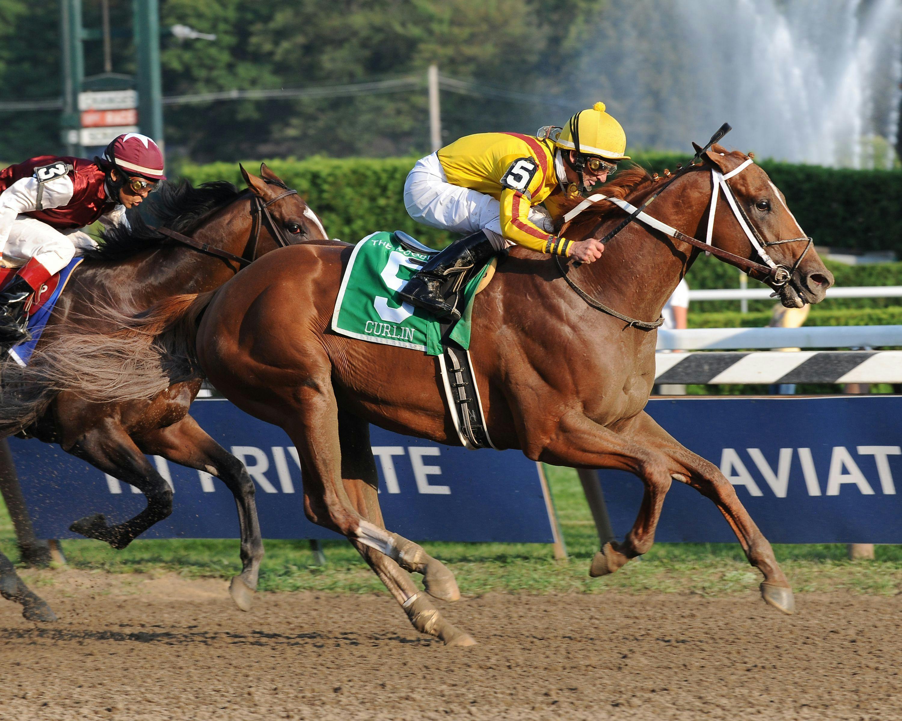 Pedigree notebook: An Eclipse Awards triple for Curlin | TwinSpires