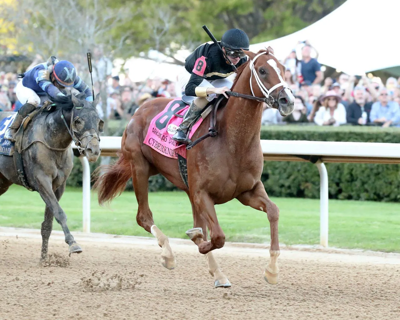 Exotics Plays for the 2022 Matt Winn Stakes | TwinSpires
