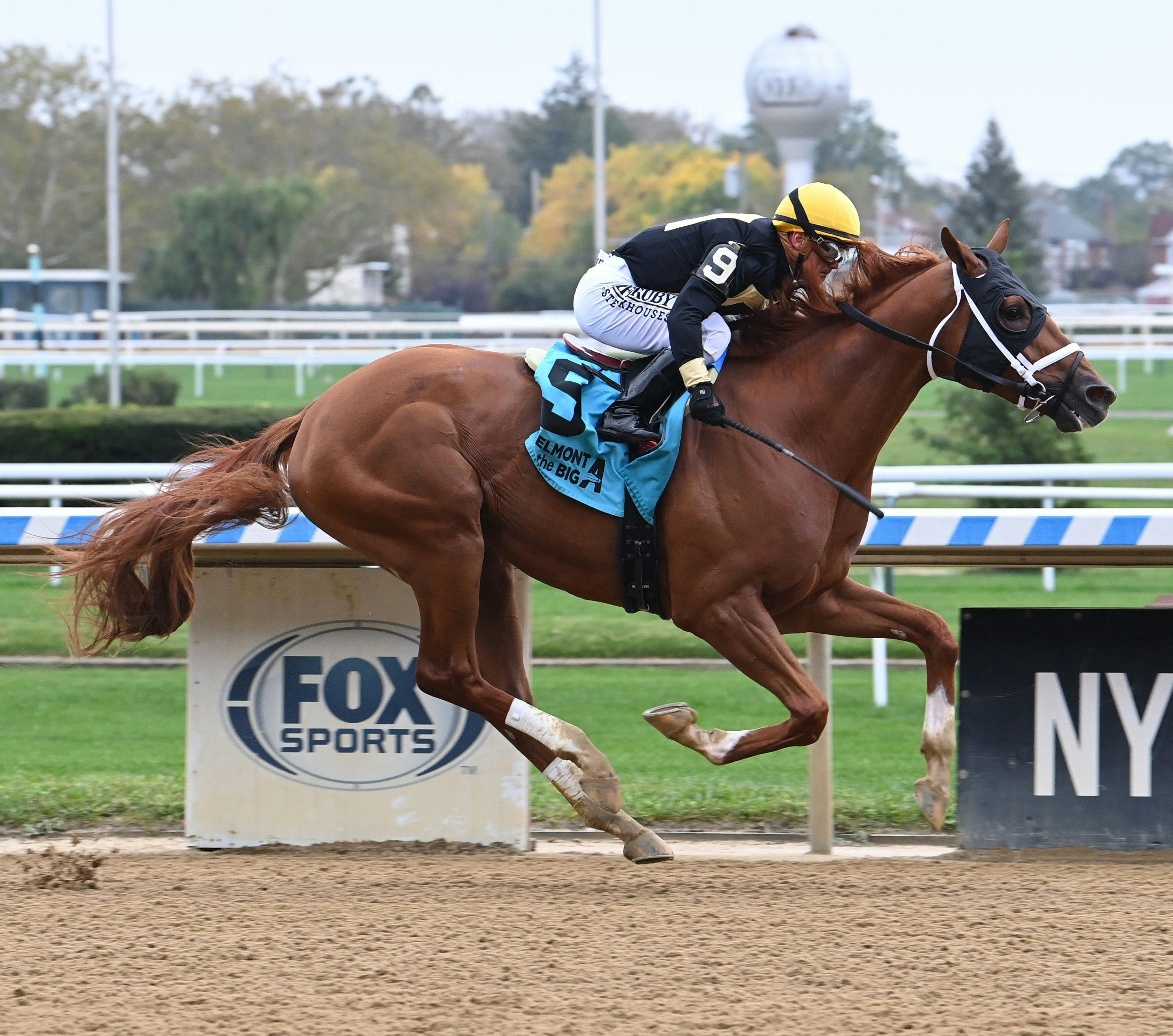 Breeders’ Cup Juvenile Maiden Watch: Drum Roll Please | TwinSpires