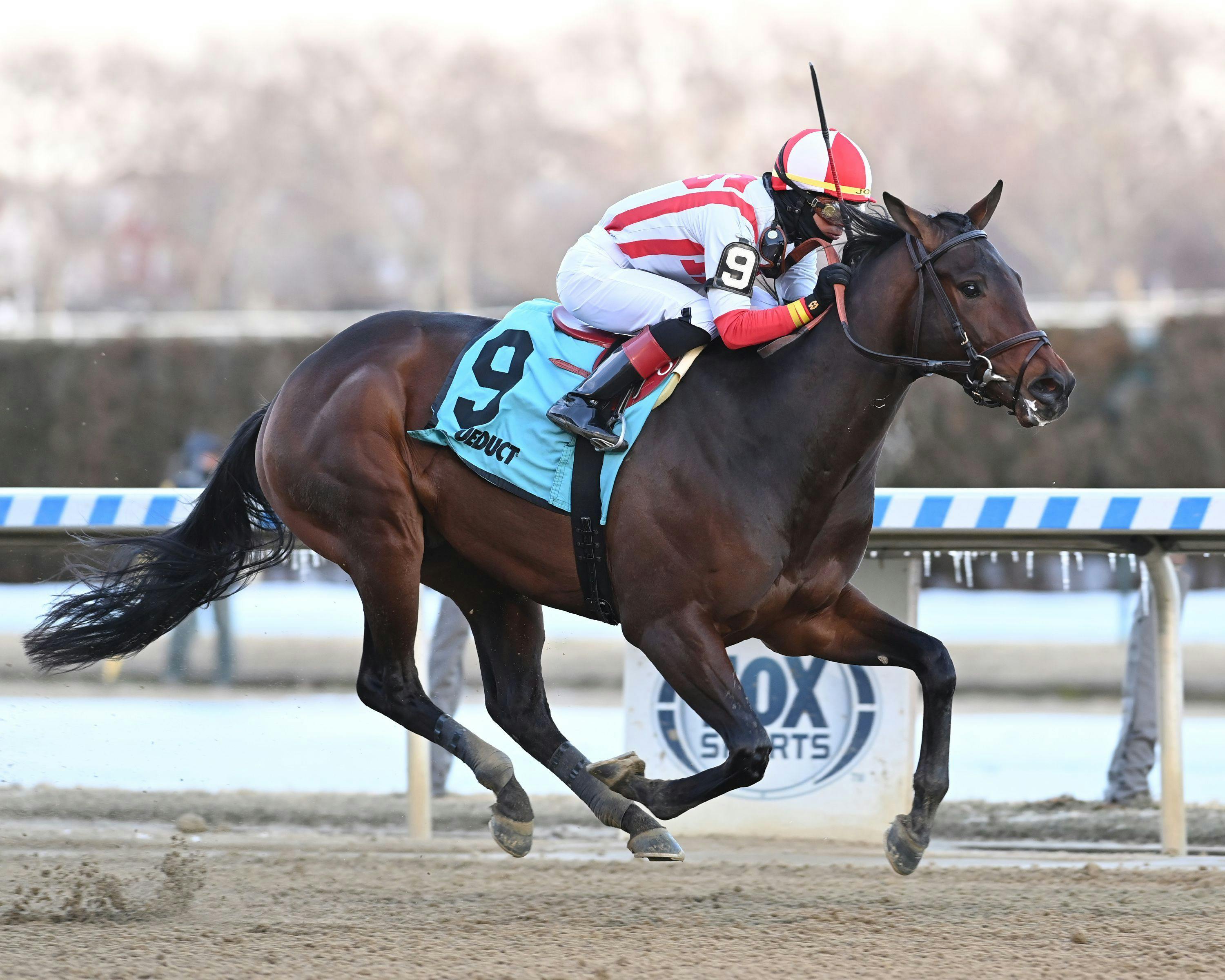 2022 Preakness: Brisnet Speed Rating Report | TwinSpires