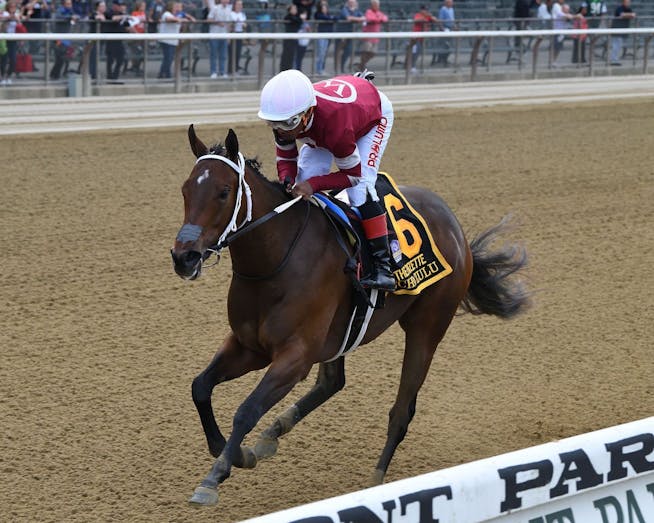 Horse Racing Betting | Bet Online with TwinSpires