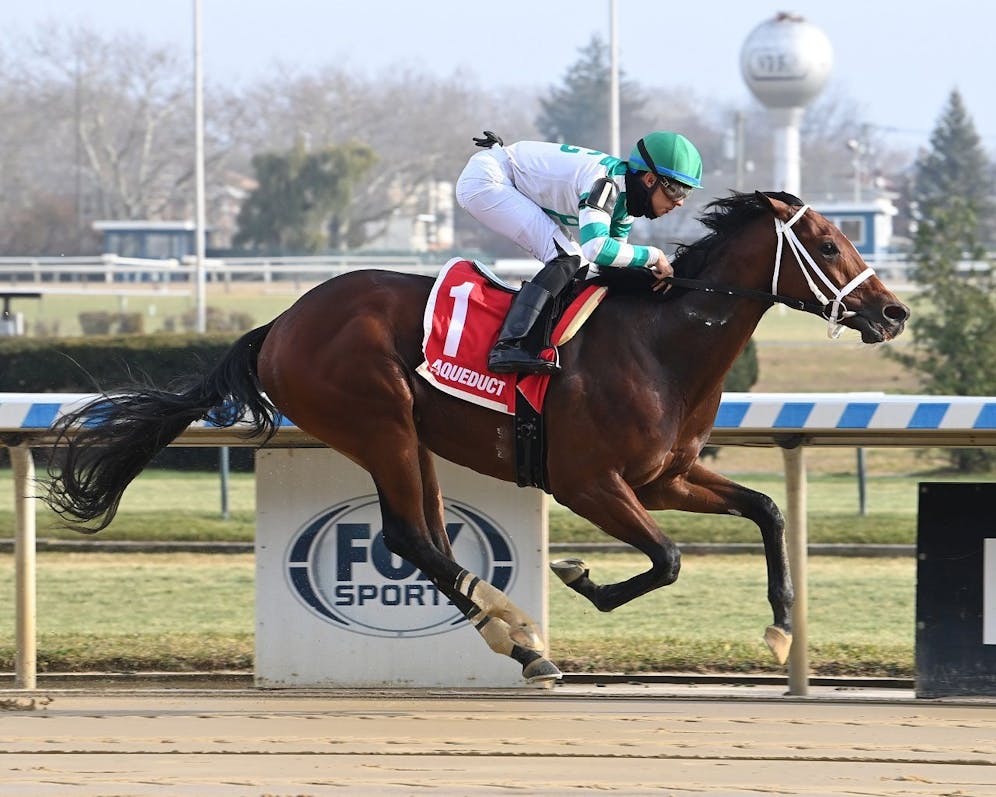 Kentucky Derby Maiden Watch: How talented is El Capi? | TwinSpires