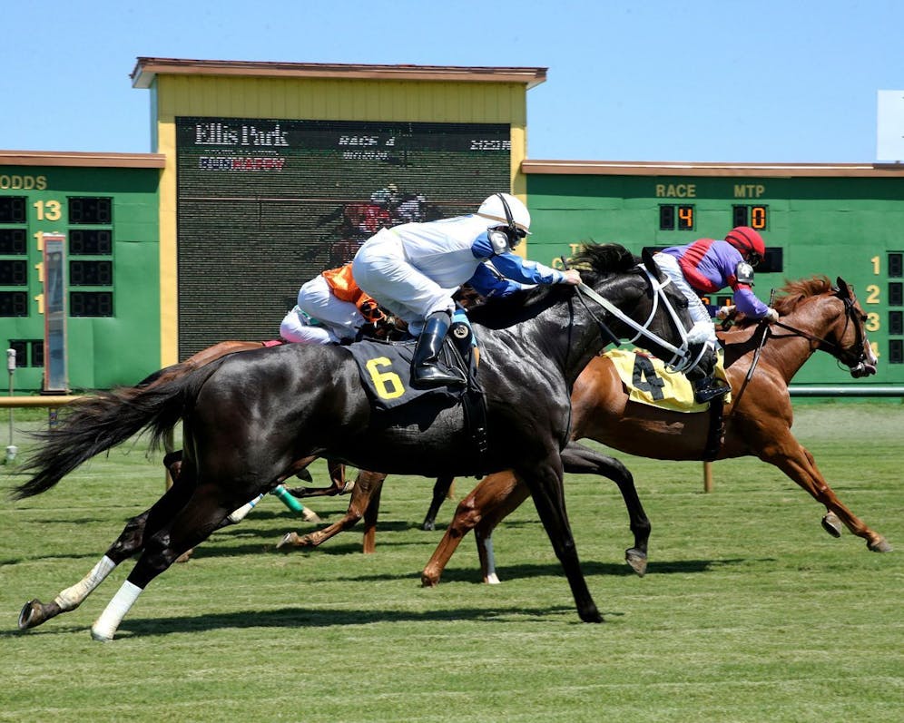 Catching My Eye: Greg Foley and Declan Cannon at Ellis Park | TwinSpires