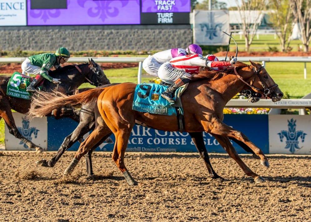 Emerging Market - Horse Profiles: Pedigree, Stats, Results & Past ...