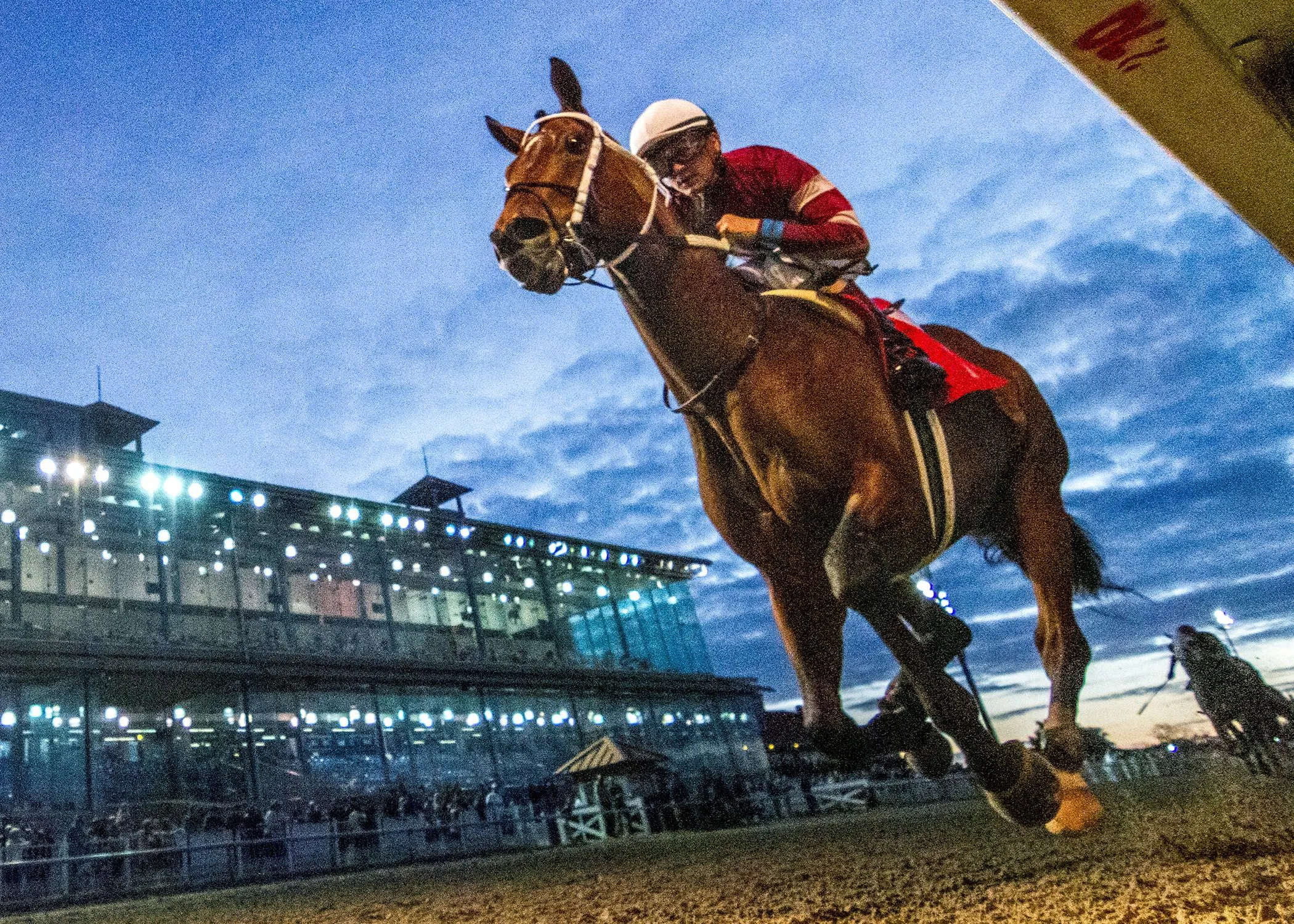 The Science of Horse Racing: Four Legs and Infinite Question | TwinSpires