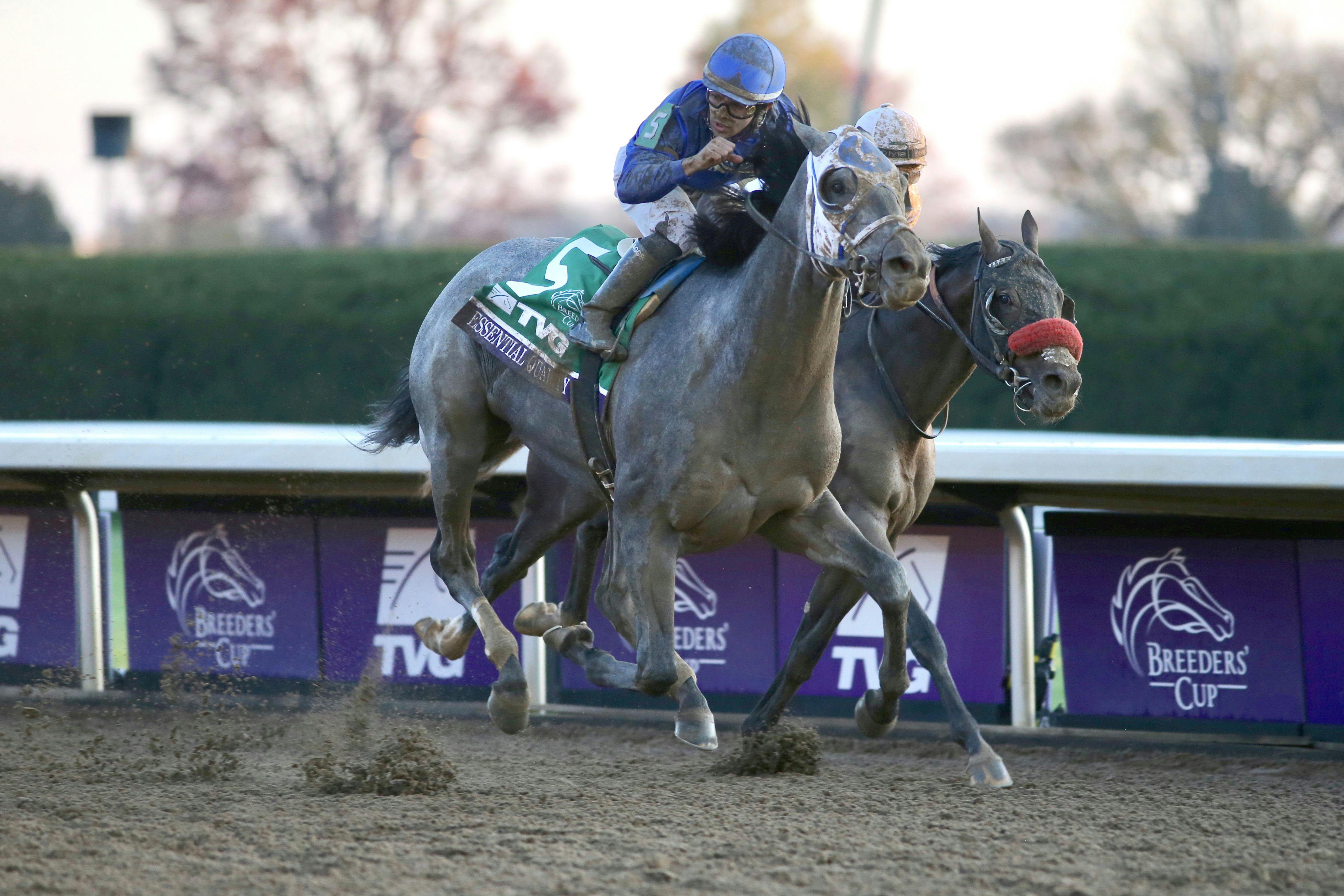 Who is the horse to beat in the 2021 Breeders' Cup Classic? | TwinSpires