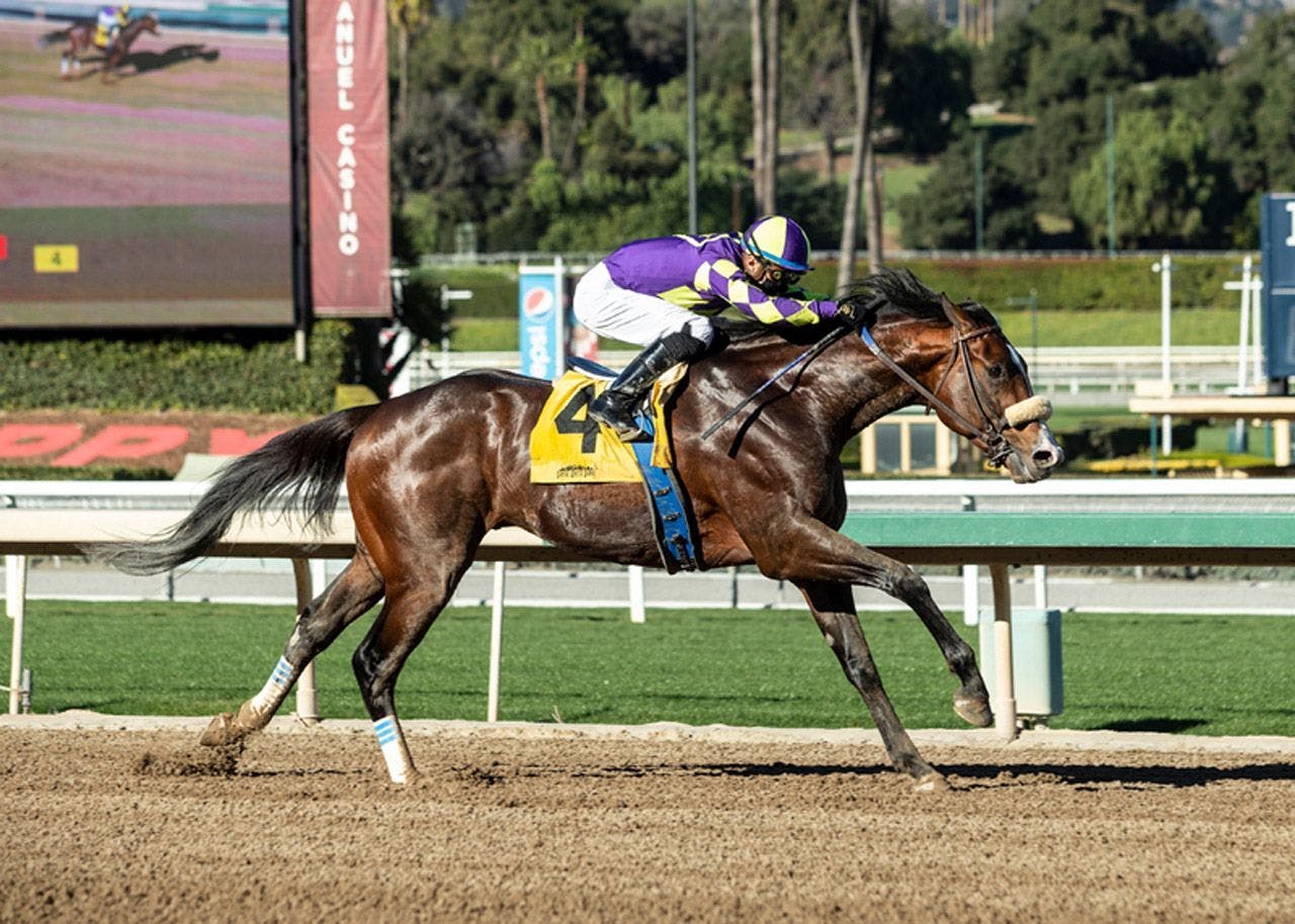 Keeler Johnson's picks and plays for April 17 | TwinSpires