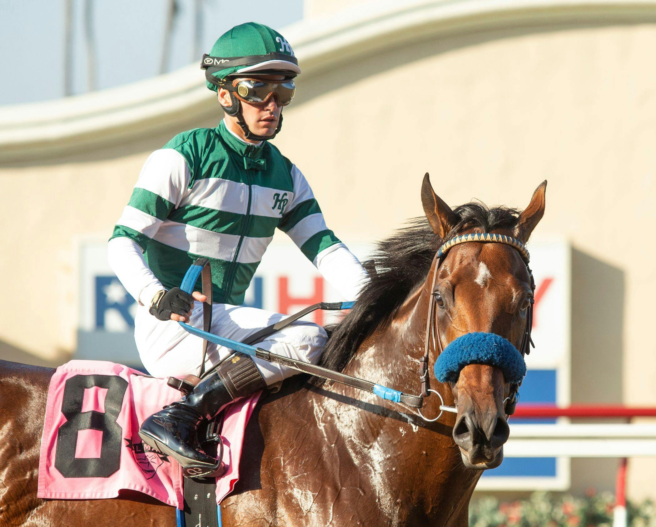 Top Winning Brisnet Speed Ratings for 2022 | TwinSpires