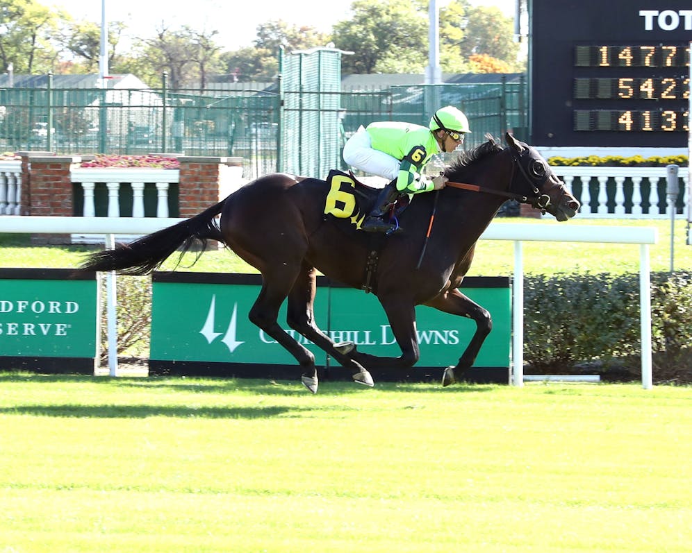 Kentucky Derby pedigree profile: Flying Mohawk | TwinSpires
