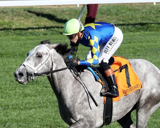 Meet the Contenders: 2026 Jeff Ruby Steaks | TwinSpires