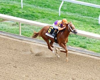 Kentucky Derby Roundup: Further Ado crushes the Blue Grass | TwinSpires