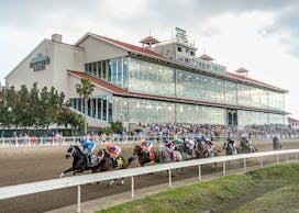 Fair Grounds Racecourse | TwinSpires