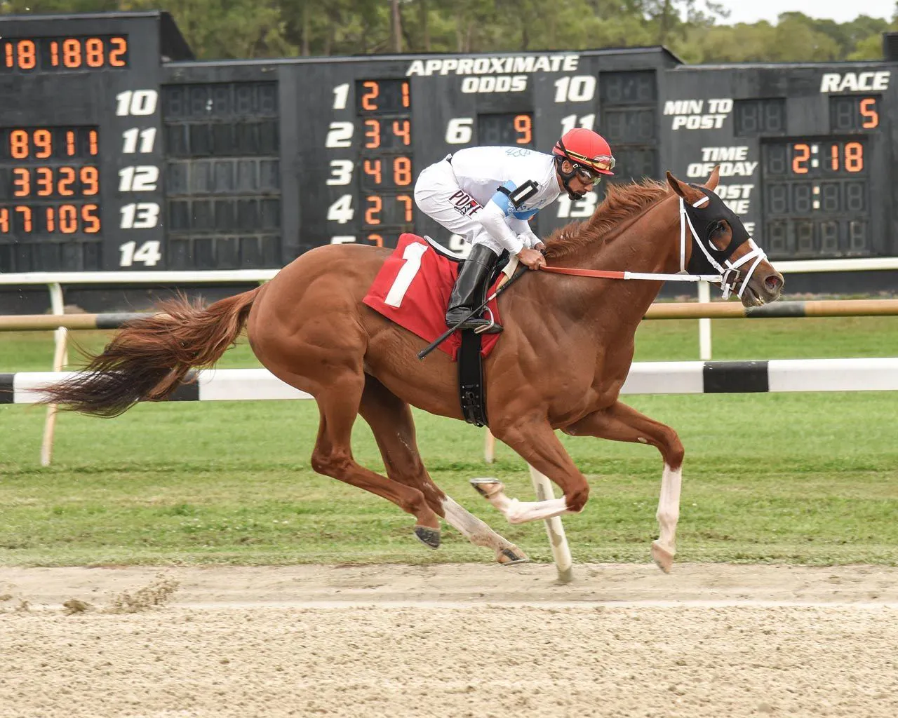 Fenwick Preakness Contender Profile Twinspires