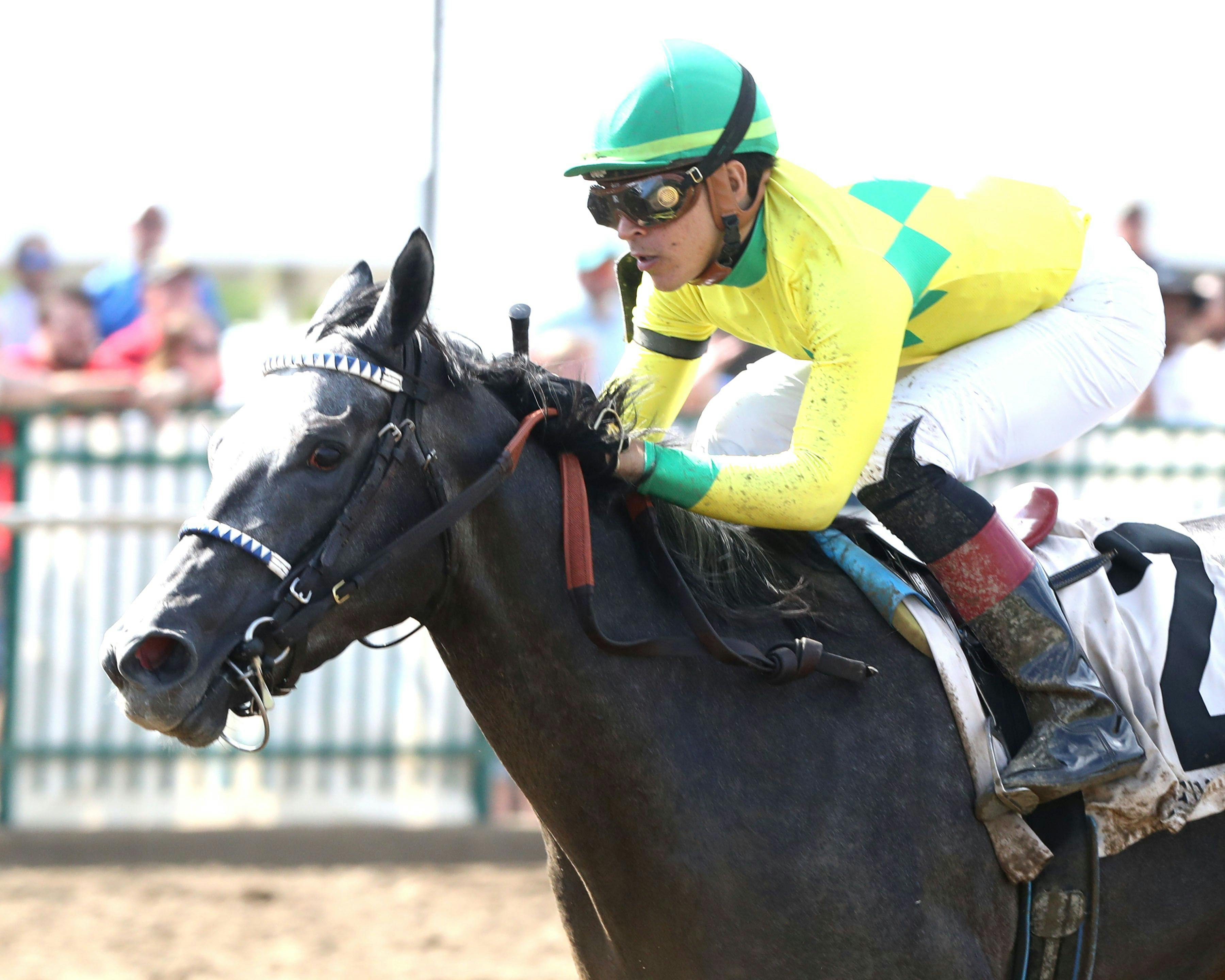 How to bet the Twin Bridges Stakes | TwinSpires