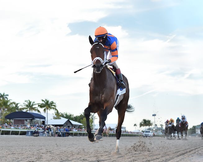 2024 Kentucky Derby Brisnet Speed Rating Report | TwinSpires