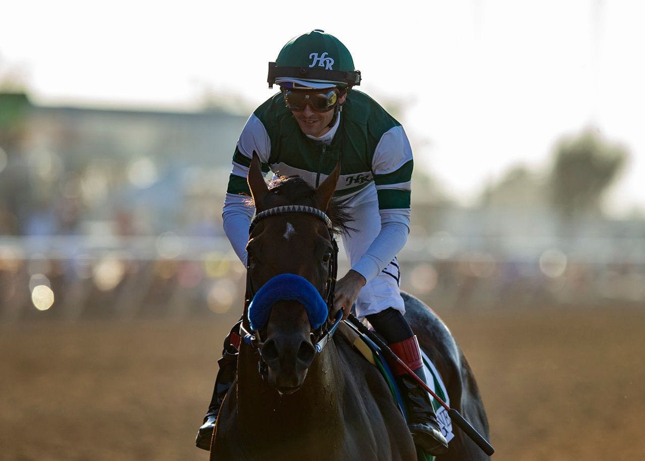 2022 in Review: Reilly's 10 favorite races | TwinSpires