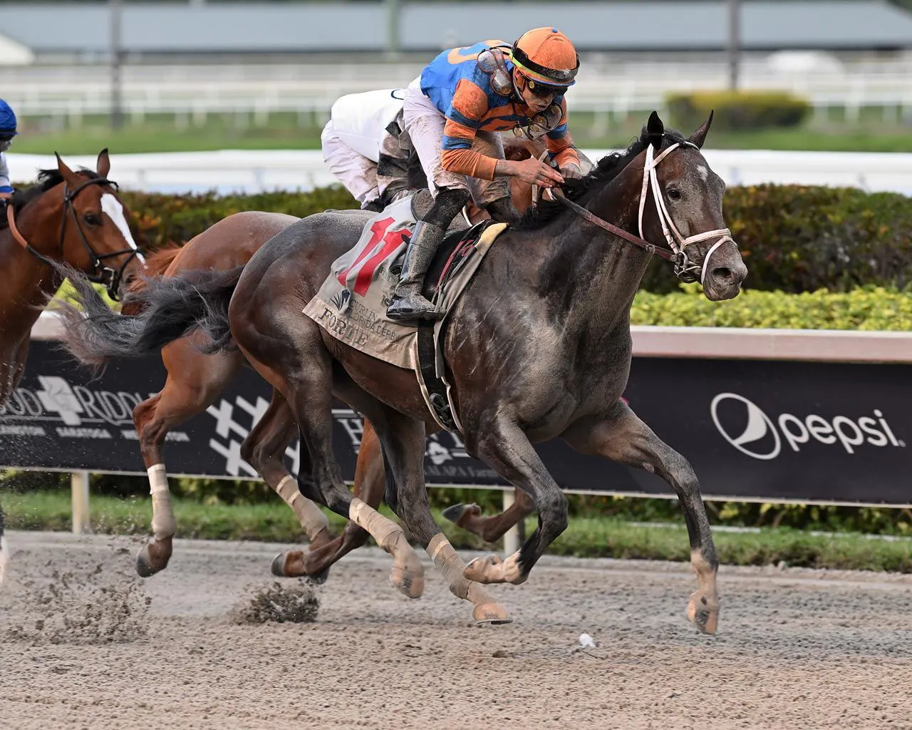 How Keeler Johnson will play the 2023 Kentucky Derby | TwinSpires