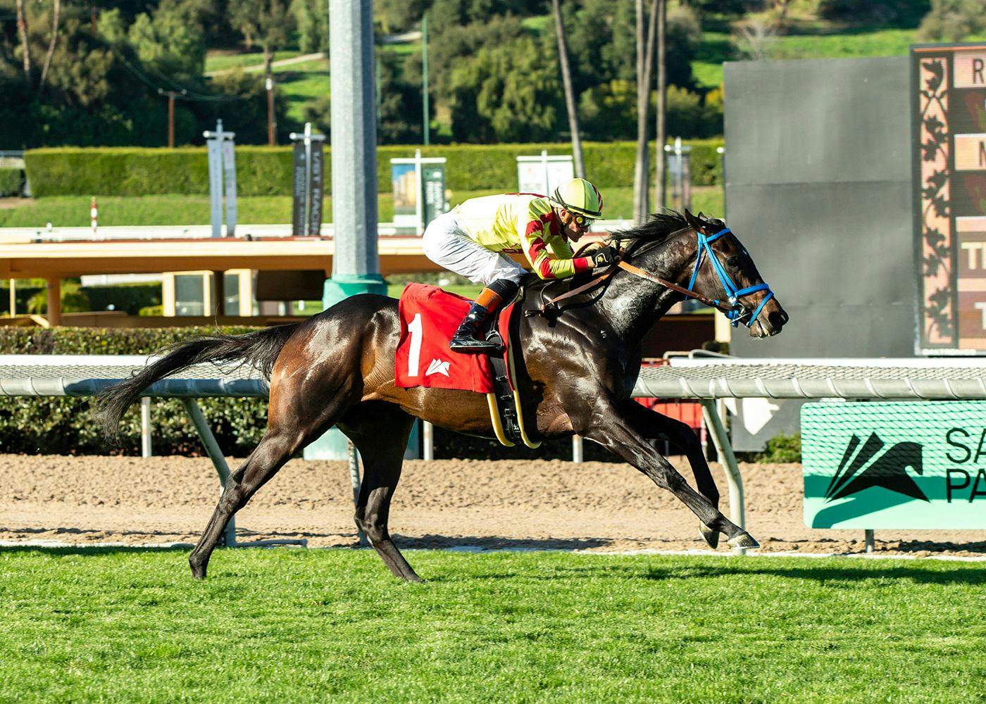 How to bet the Cinema Stakes | TwinSpires