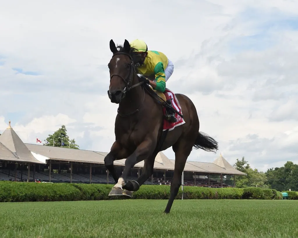 BetAmerica’s horse racing pick of the day | TwinSpires