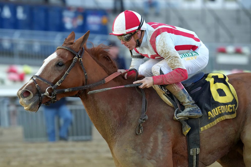 Horse Racing Betting | Bet Online with TwinSpires